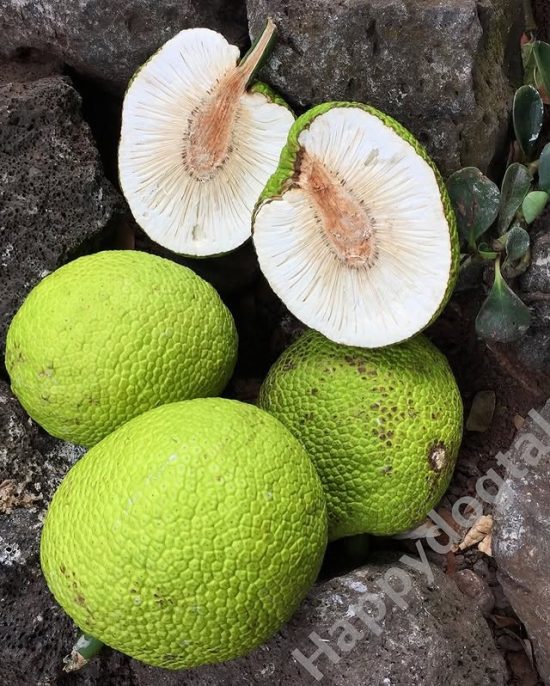 Grenada's Local Fruits